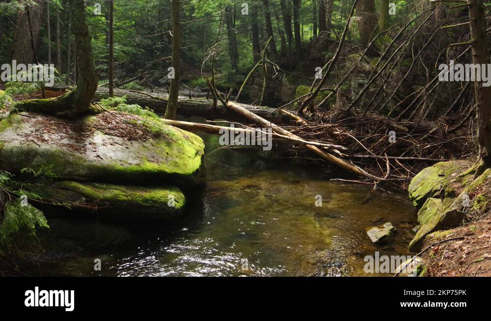 Ancient wilderness Stock Videos & Footage - HD and 4K Video Clips - Alamy