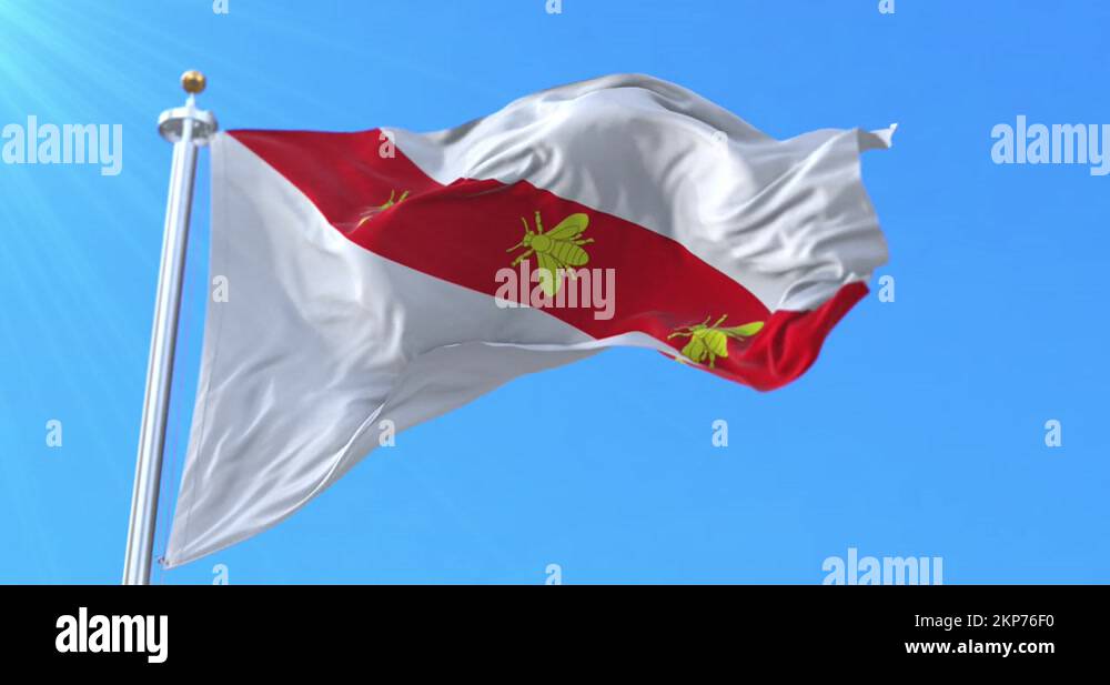 Napoleonic flag Stock Videos & Footage - HD and 4K Video Clips - Alamy