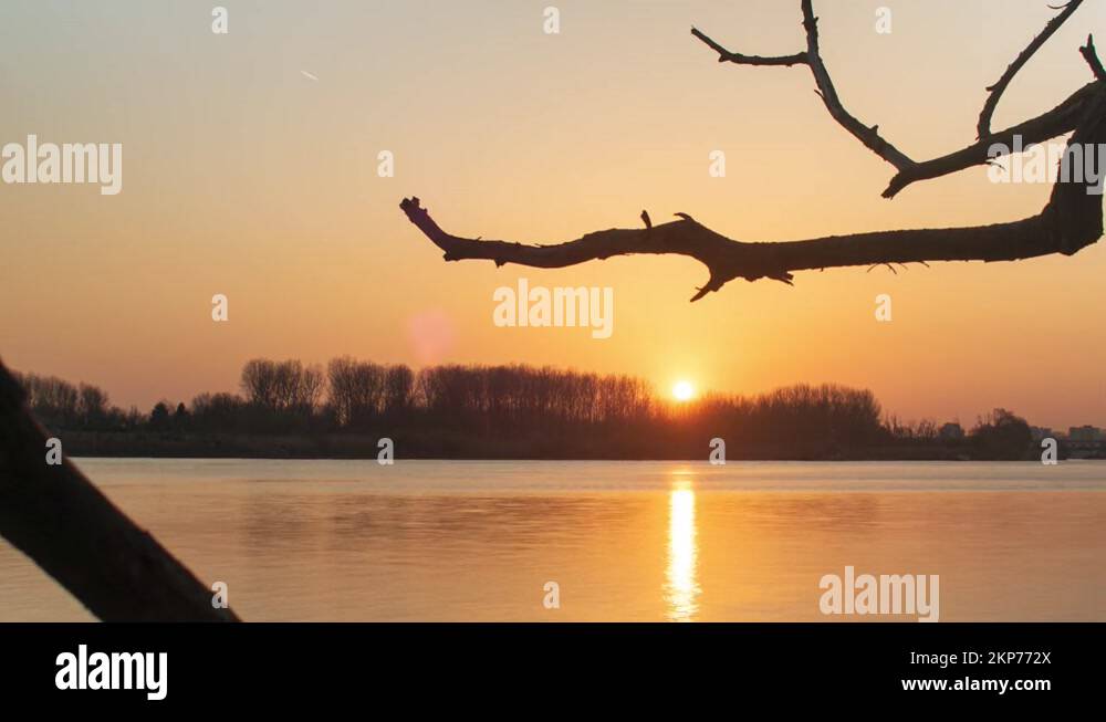 Sunset behind tree line Stock Videos & Footage - HD and 4K Video Clips ...