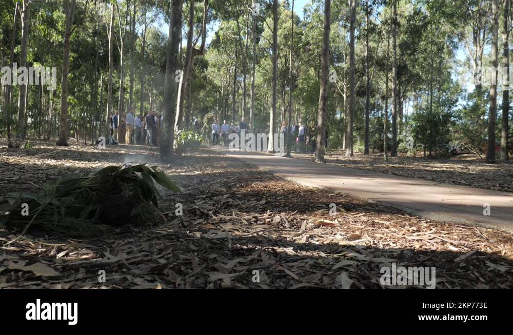 Aboriginal australia ceremony Stock Videos & Footage - HD and 4K Video ...
