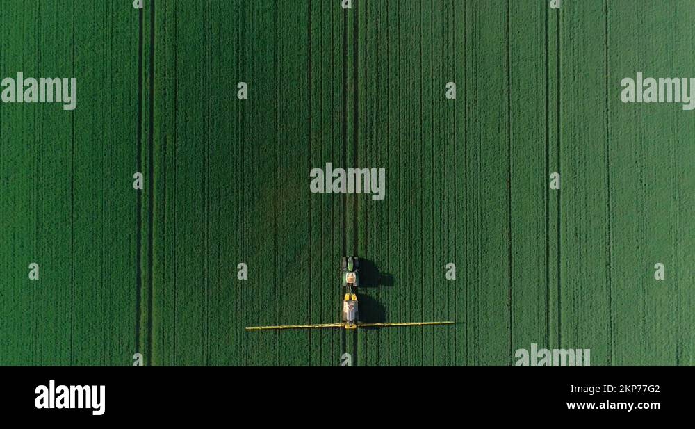 Overhead shot field green Stock Videos & Footage - HD and 4K Video ...