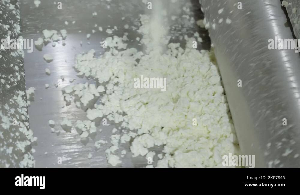 Chunks Of Cottage Cheese Being Refined By Manufacturing Processing ...