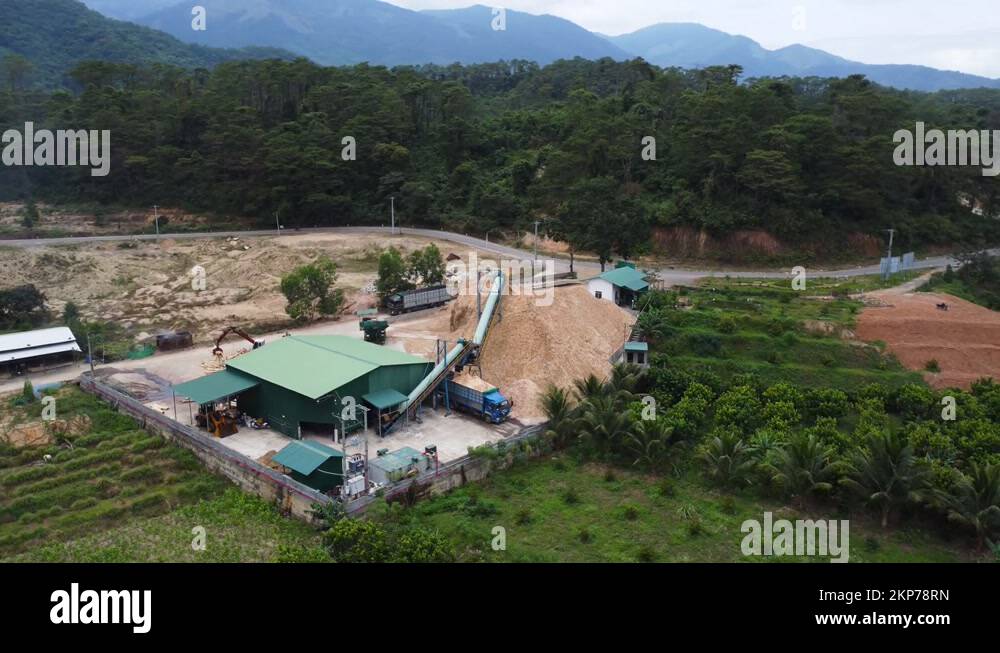Vietnamese forest Stock Videos & Footage - HD and 4K Video Clips - Alamy