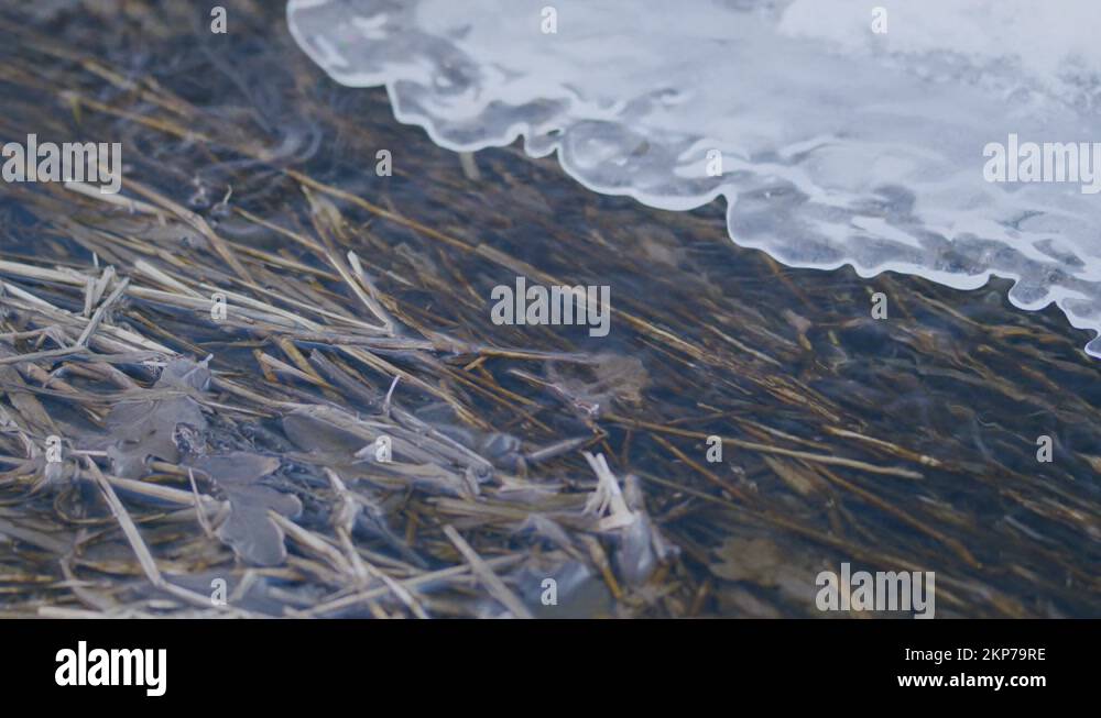 Spring stream from melting snow. Running streams of clean ice water ...