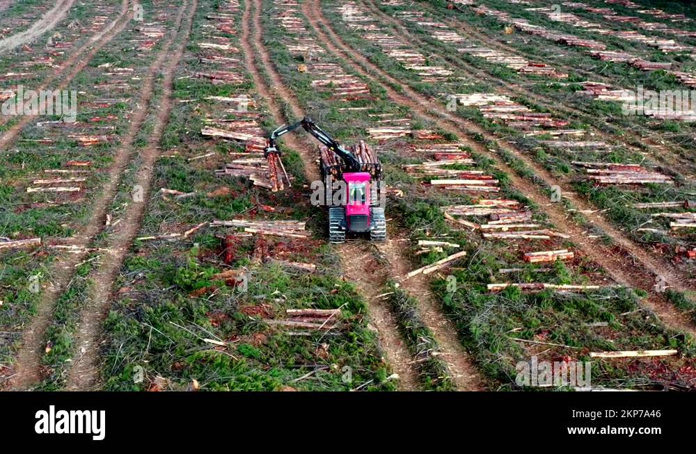 Drones view Stock Videos & Footage - HD and 4K Video Clips - Alamy