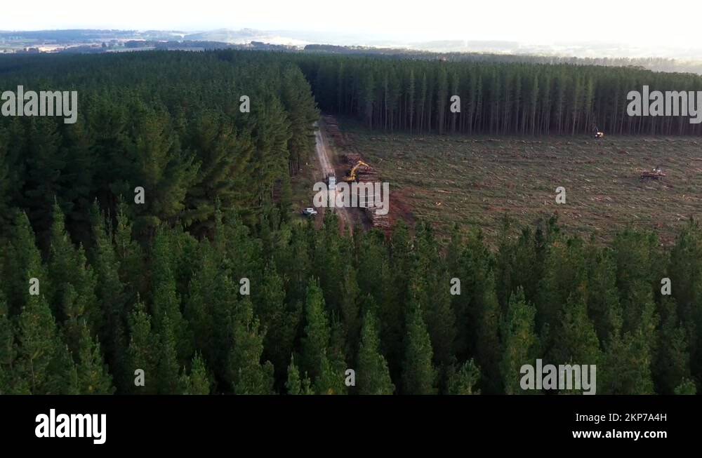 Logging equipment Stock Videos & Footage - HD and 4K Video Clips - Alamy