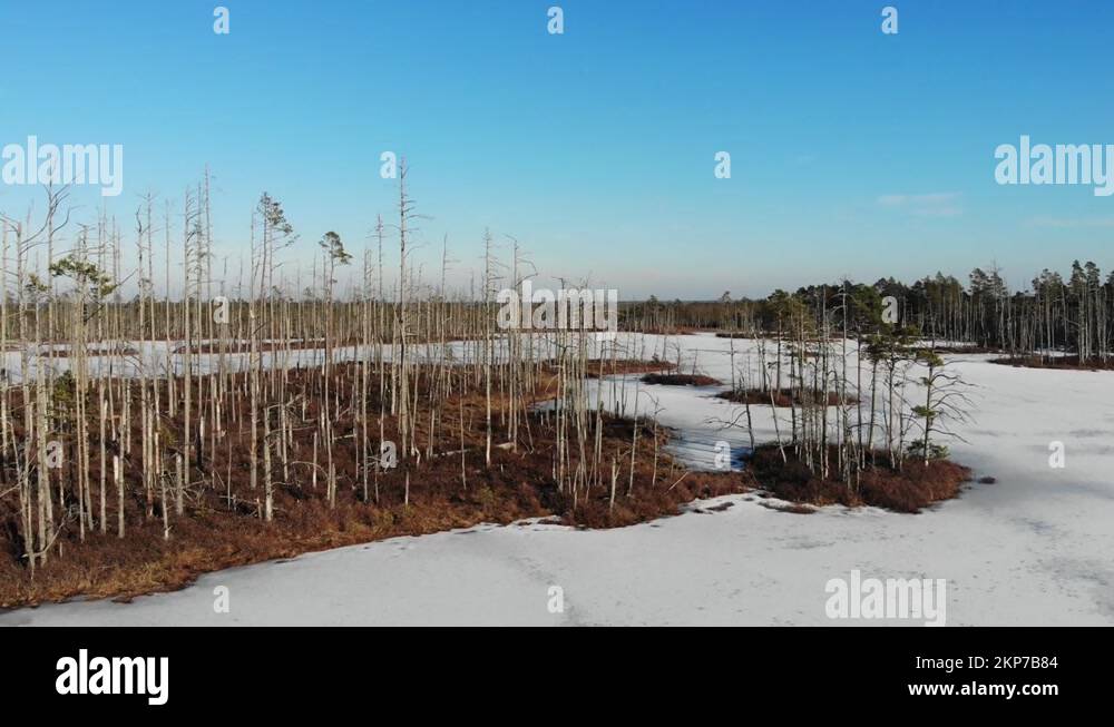 In the mire Stock Videos & Footage - HD and 4K Video Clips - Alamy