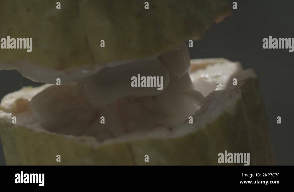 Inside a seed pod Stock Videos & Footage - HD and 4K Video Clips - Alamy