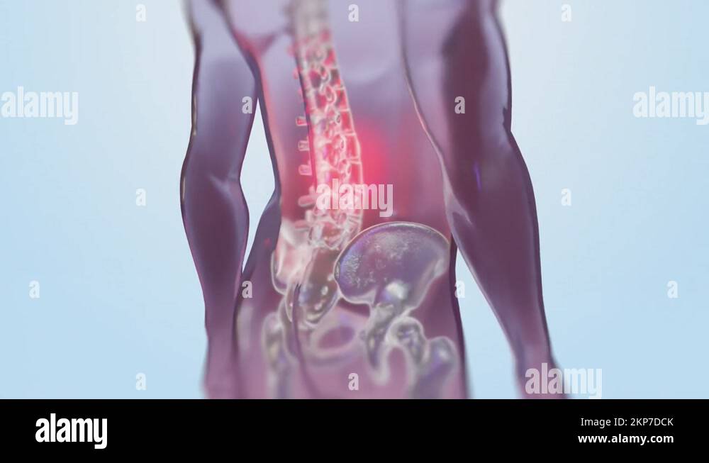 Schematic visualization Stock Videos & Footage - HD and 4K Video Clips ...