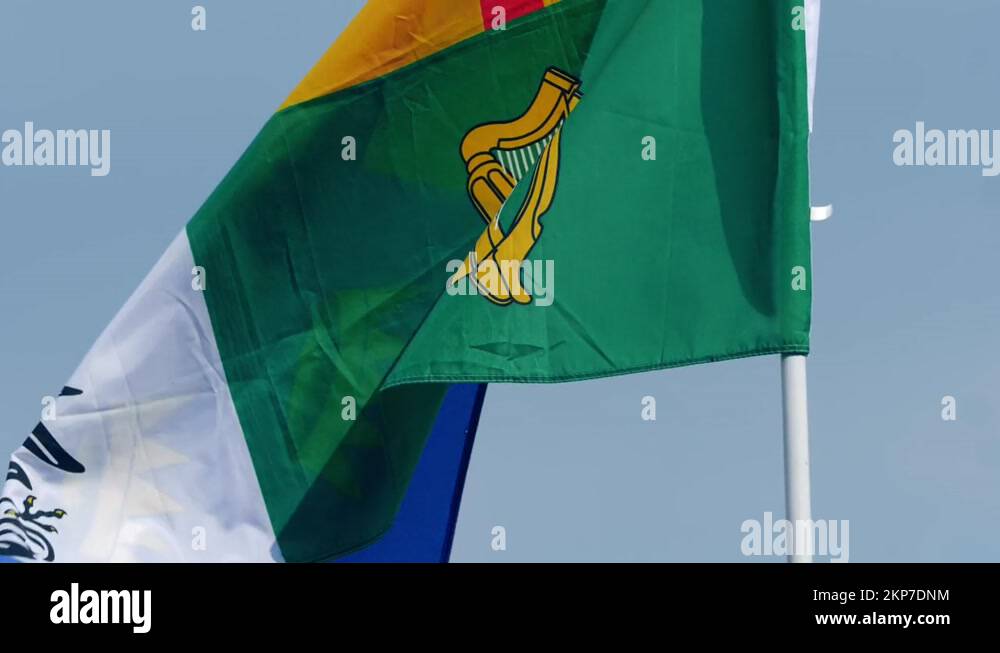 Harp flag Stock Videos & Footage - HD and 4K Video Clips - Alamy