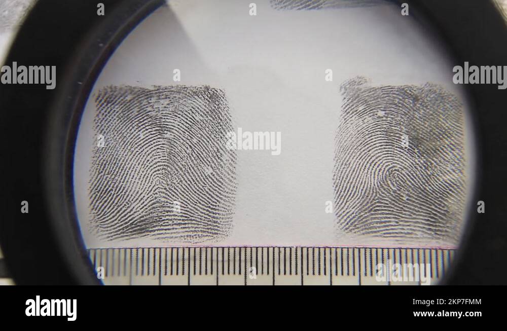 Forensic fingerprint Stock Videos & Footage - HD and 4K Video Clips - Alamy