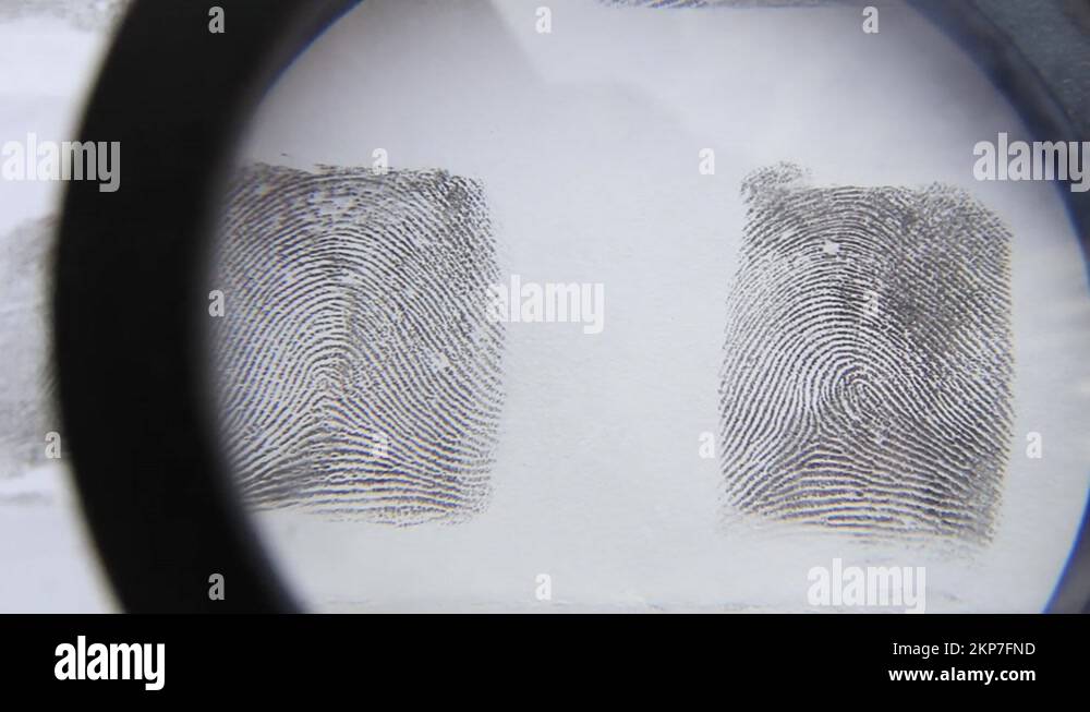 Texture fingerprints Stock Videos & Footage - HD and 4K Video Clips - Alamy