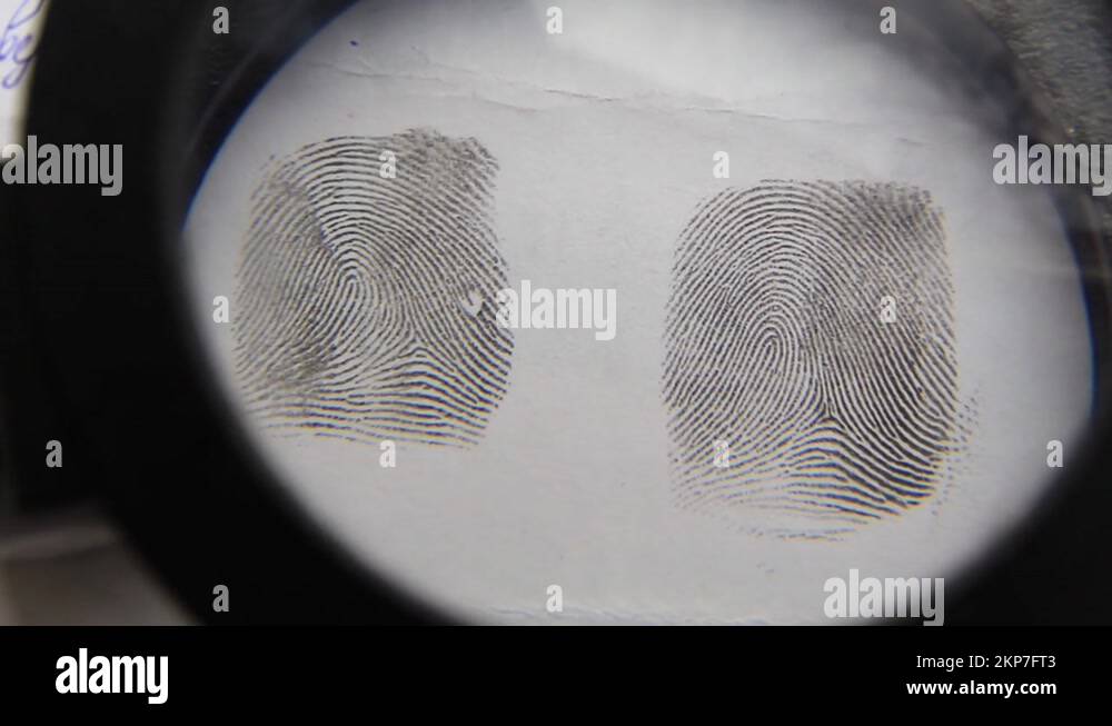 Magnifying glass magnifies fingerprints on white paper close up Stock ...
