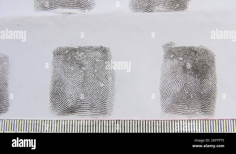 Forensic paper Stock Videos & Footage - HD and 4K Video Clips - Alamy