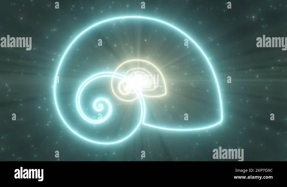 Nautilus design Stock Videos & Footage - HD and 4K Video Clips - Alamy