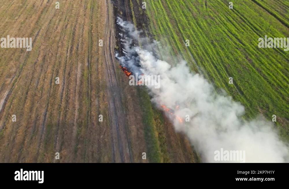 Reverse smoking Stock Videos & Footage - HD and 4K Video Clips - Alamy