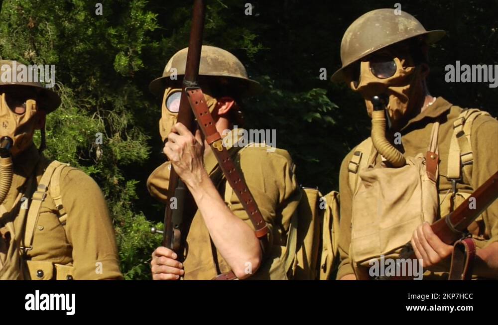 Ww1 dogs Stock Videos & Footage - HD and 4K Video Clips - Alamy