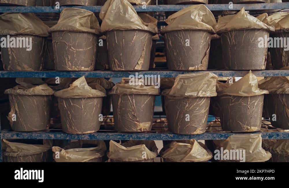 Clay storage pots Stock Videos & Footage - HD and 4K Video Clips - Alamy