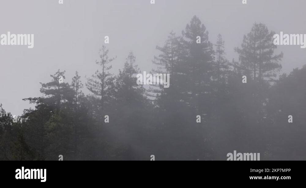 Fog rolls Stock Videos & Footage - HD and 4K Video Clips - Alamy