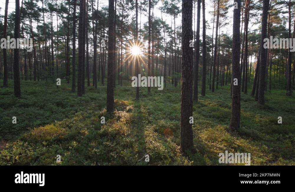 Sunrise germany Stock Videos & Footage - HD and 4K Video Clips - Alamy