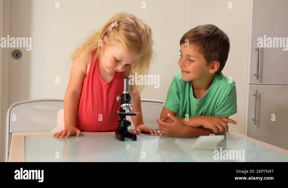 Cute little girl and boy are sharing a microscope with each other in ...