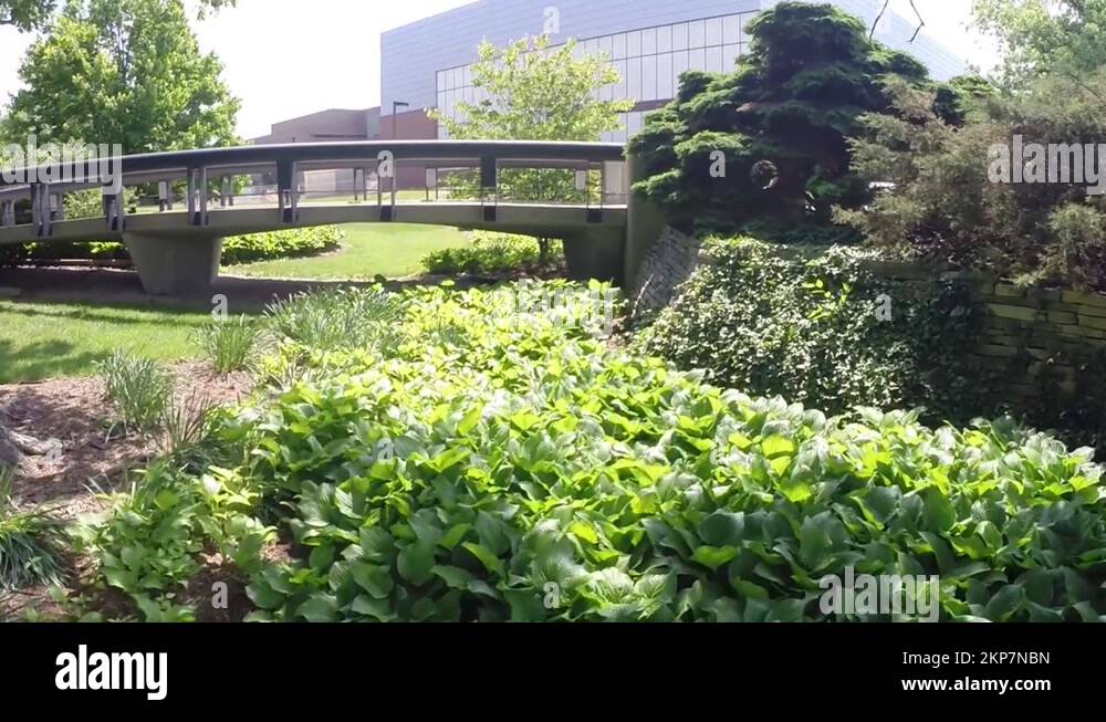 Wharton Stock Videos & Footage - HD and 4K Video Clips - Alamy