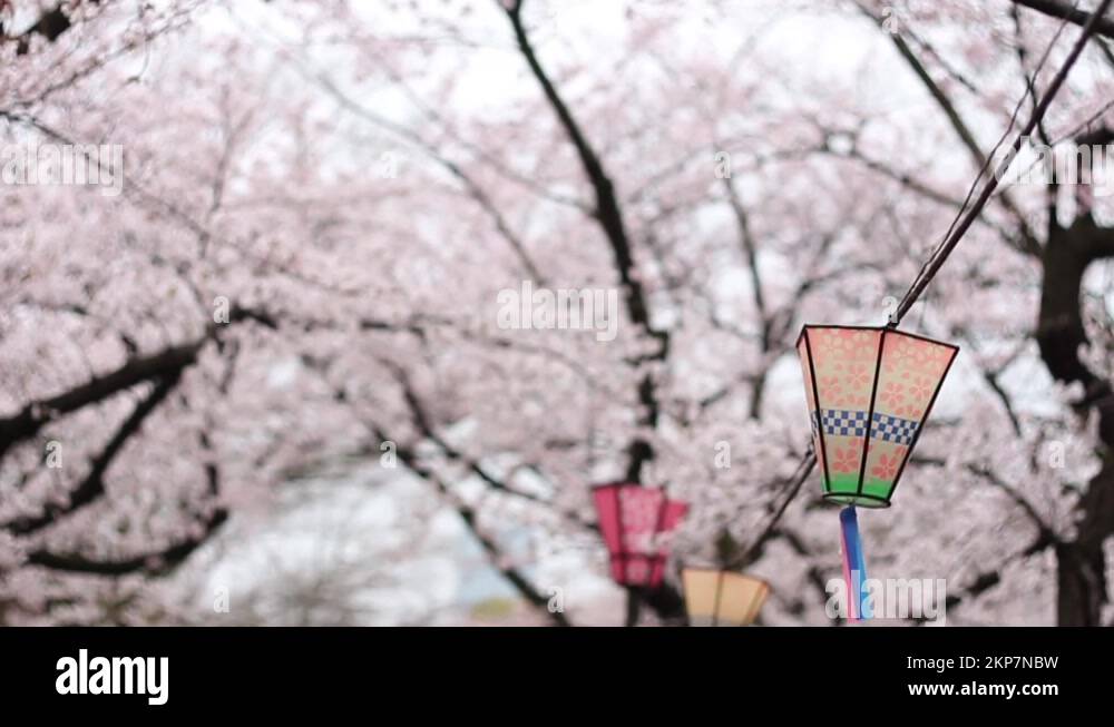 Lanterns vertical Stock Videos & Footage - HD and 4K Video Clips - Alamy
