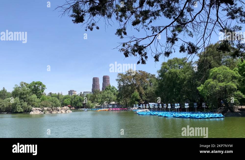 Lago lago lago lago bosque Stock Videos & Footage - HD and 4K Video ...