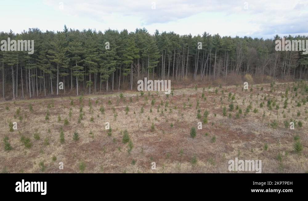 Planting drive Stock Videos & Footage - HD and 4K Video Clips - Alamy