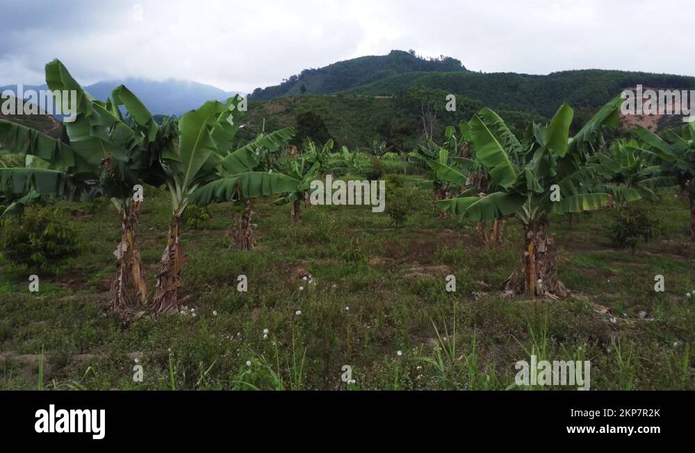 Mixed farming aerial Stock Videos & Footage - HD and 4K Video Clips - Alamy