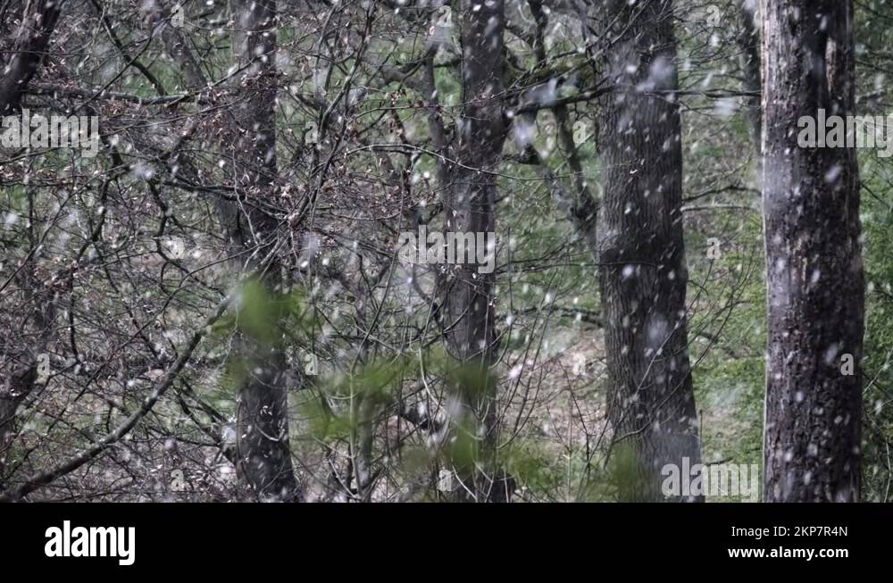 Spring snow england Stock Videos & Footage - HD and 4K Video Clips - Alamy