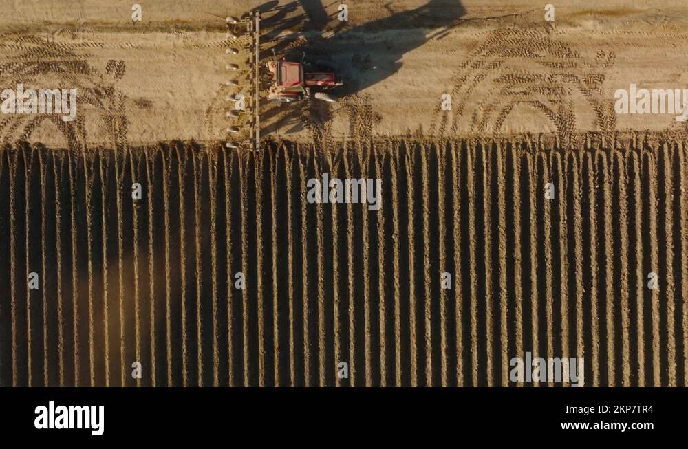 Black soil field Stock Videos & Footage - HD and 4K Video Clips - Alamy
