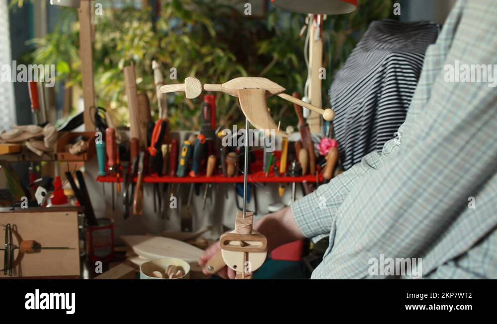 Bird flying wings Stock Videos & Footage - HD and 4K Video Clips - Alamy