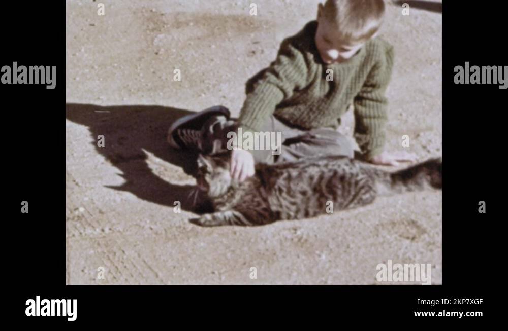 1960s: Boy pets tabby cat laying outside. Boy scratches cat's neck. Boy ...