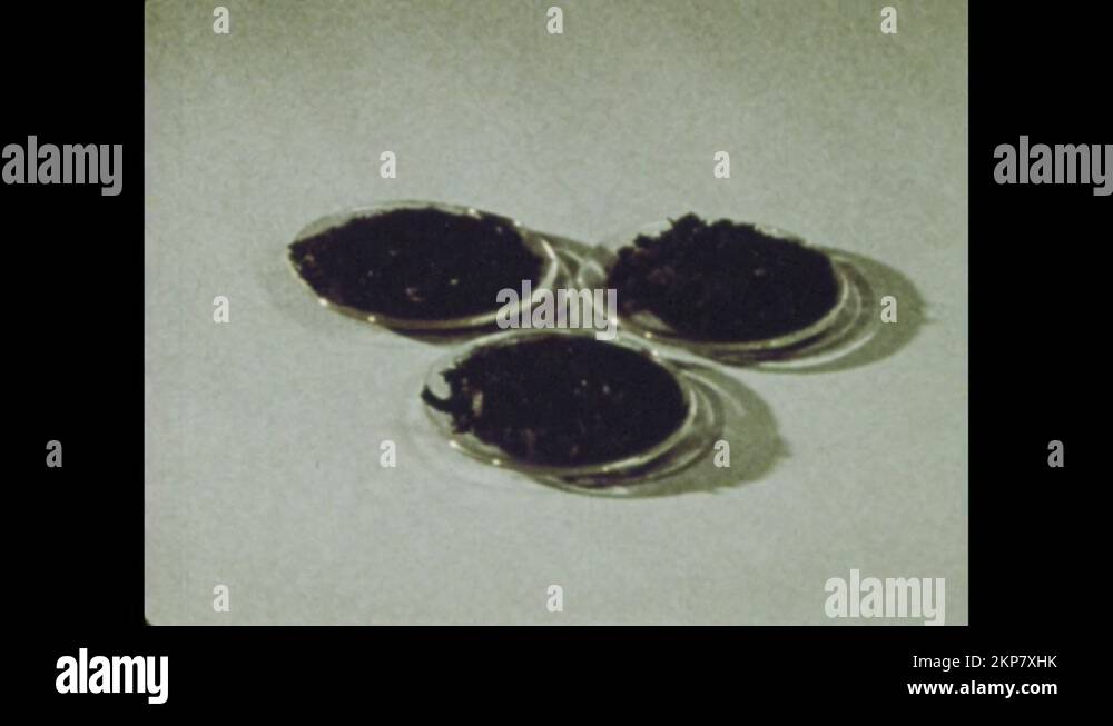 1970s: ashes from burning of seaweed. Iodine crystals Ade from seaweed ...