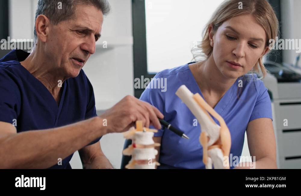 Two caucasian doctors talking and showing on medical models Stock Video ...