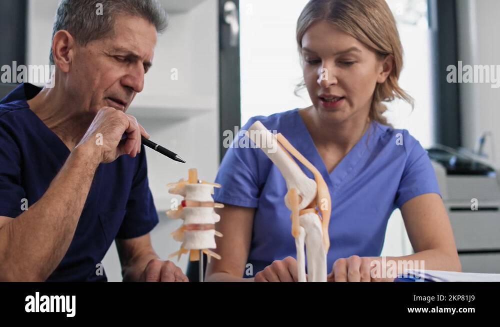 Two caucasian doctors talking and showing on medical models Stock Video ...