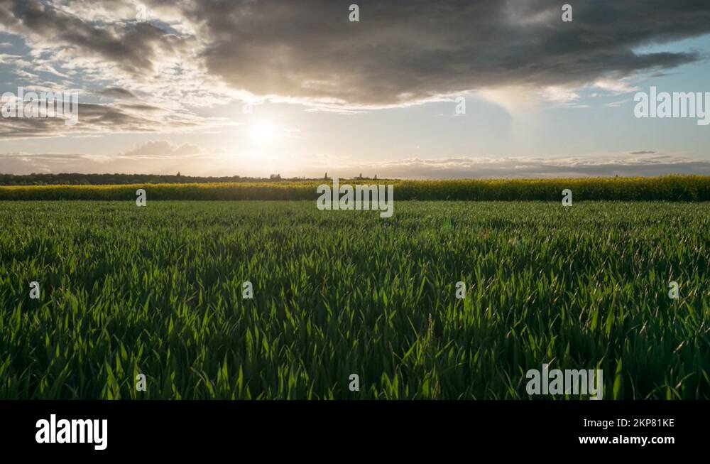 French countryside sunset spring Stock Videos & Footage - HD and 4K ...