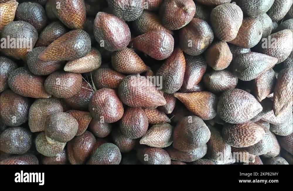 Snake fruit salak palm Stock Videos & Footage - HD and 4K Video Clips ...