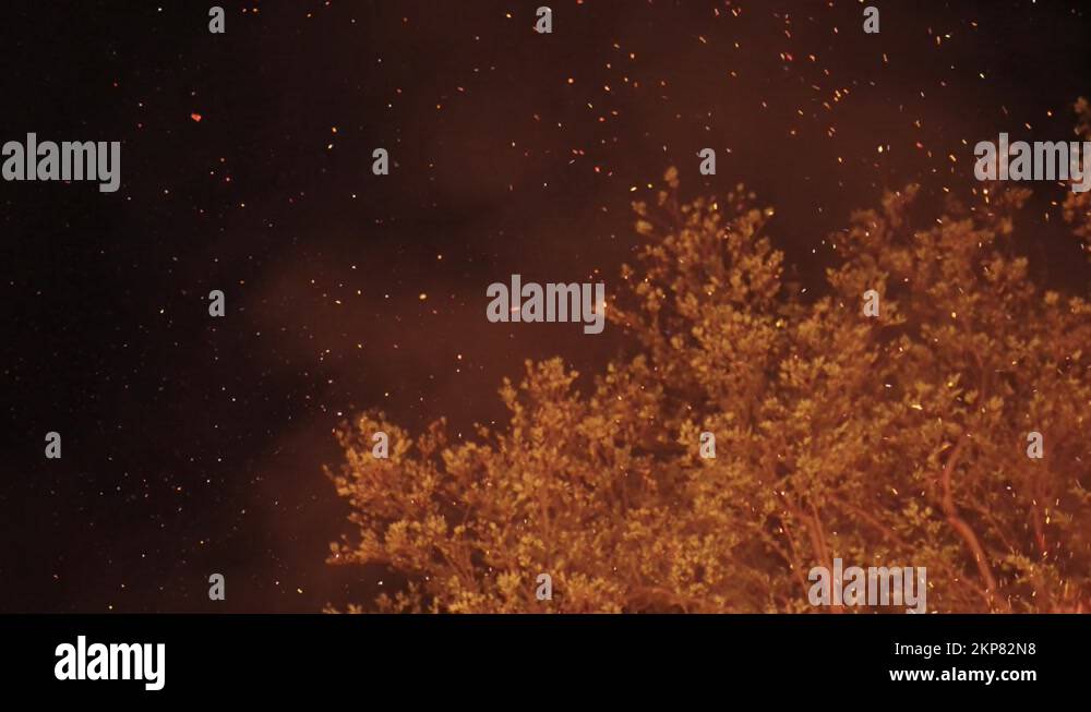 Tree disaster burn environment sky Stock Videos & Footage - HD and 4K ...