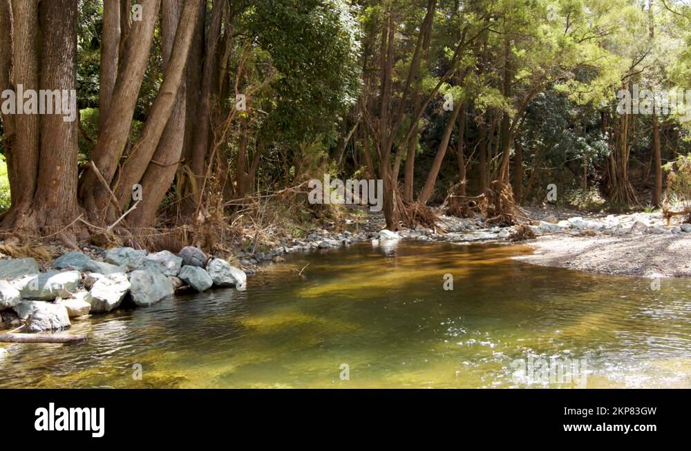 The serenity of a small flowing stream is broken by someone skimming a ...