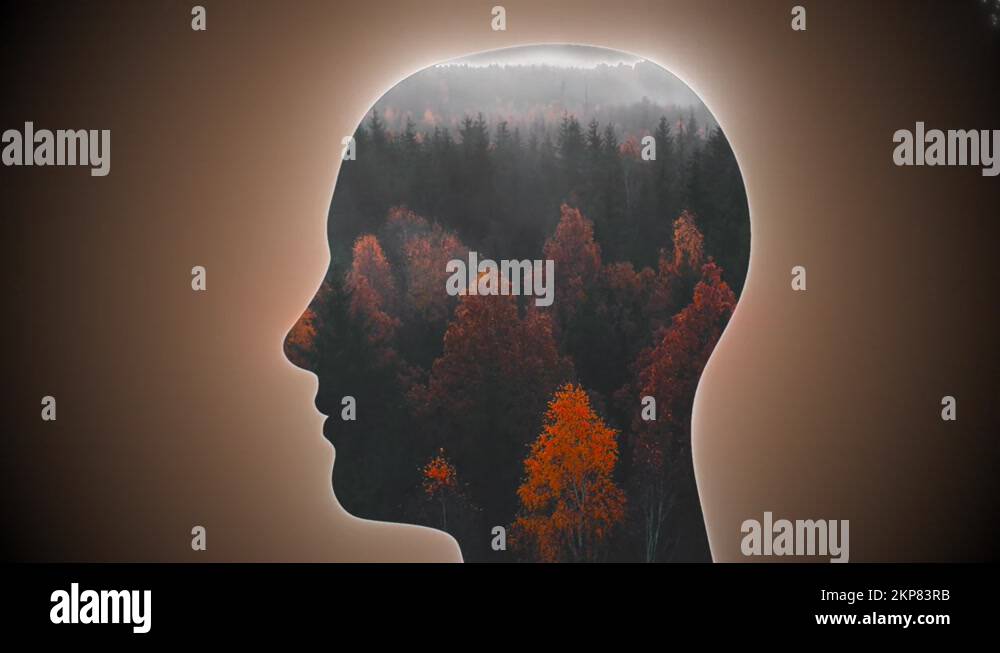 Forest head concept Stock Videos & Footage - HD and 4K Video Clips - Alamy