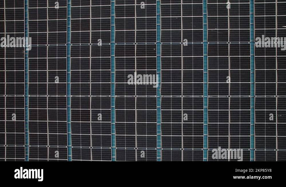 Cell ecology Stock Videos & Footage - HD and 4K Video Clips - Alamy