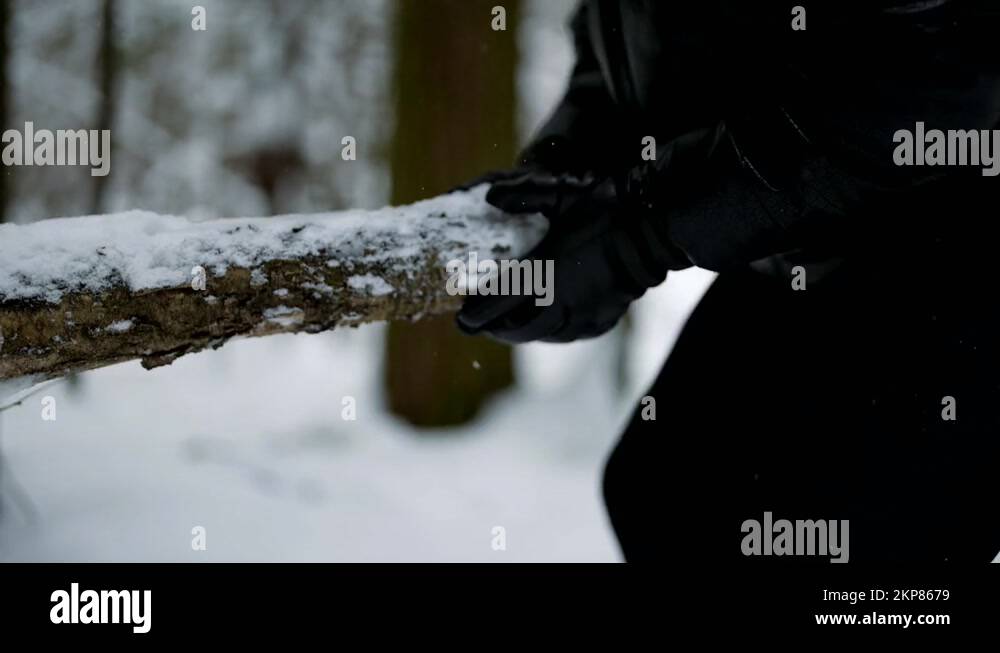 Log training Stock Videos & Footage - HD and 4K Video Clips - Alamy
