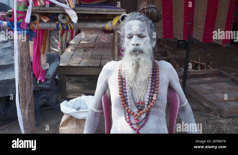 Naga sadhu bath Stock Videos & Footage - HD and 4K Video Clips - Alamy