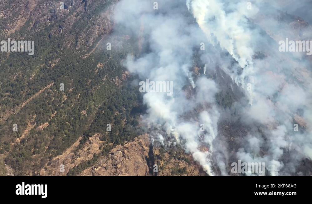 Huge forest fire Stock Videos & Footage - HD and 4K Video Clips - Alamy