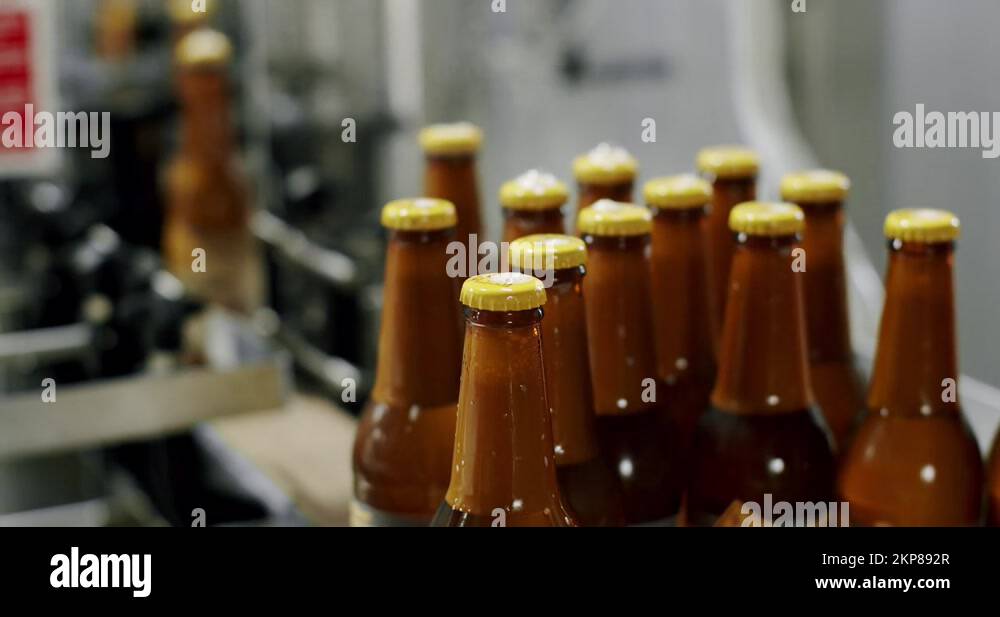 Factory, brewery concept. Capping process of full beer bottles Stock ...