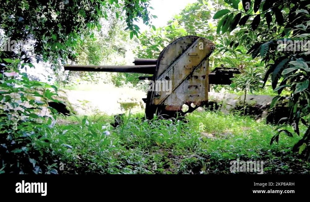 A WW2 Japanese anti aircraft gun, history preserved in the forests on ...