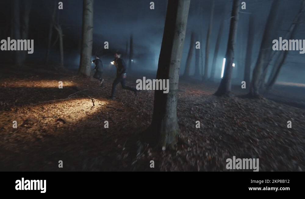 Flashlight forest Stock Videos & Footage - HD and 4K Video Clips - Alamy