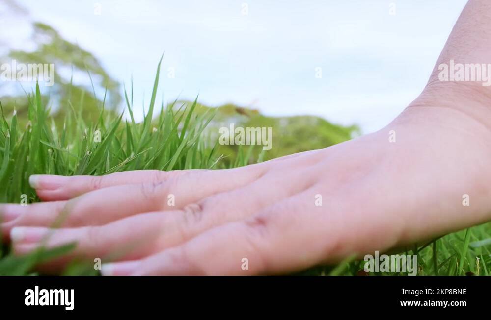 Close up Woman hand touching the green grass field background. Grass on ...